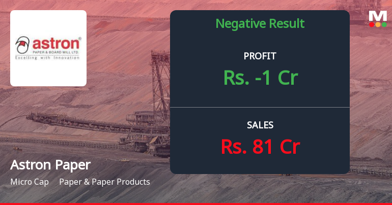 Astron Paper's Q3 Results Show Mixed Trends