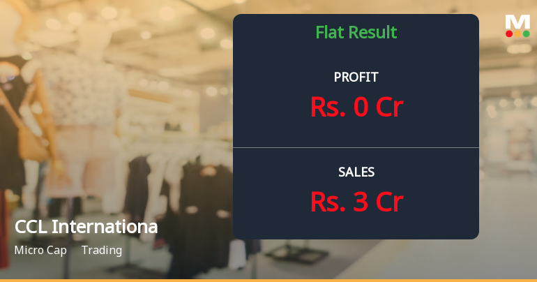 CCL International Reports Mixed Financial Results