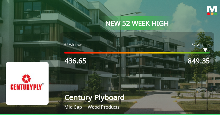 Century Plyboards (India) Ltd Reaches New Heights