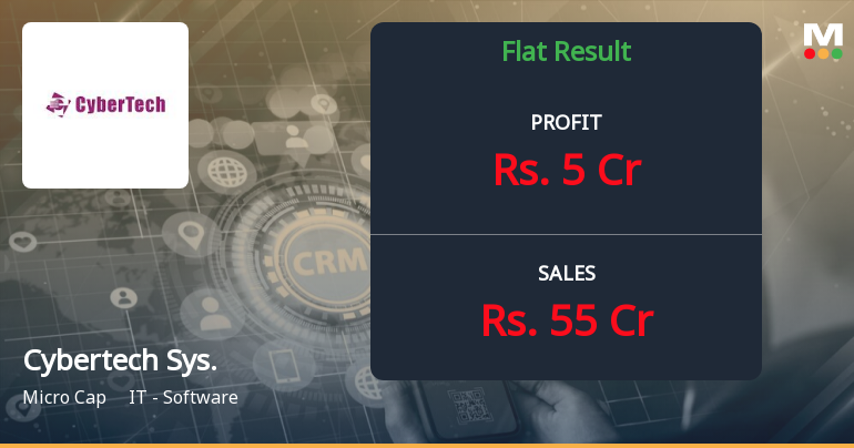 Cybertech Sys. shows positive growth despite challenges