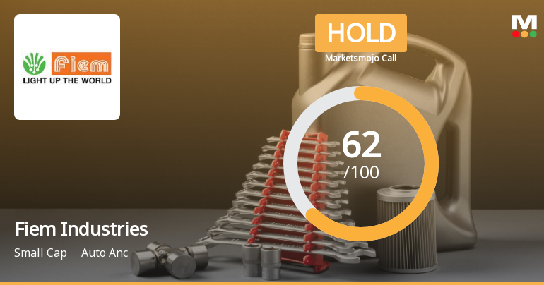 Fiem Industries Receives 'Hold' Rating, Mixed Outlook