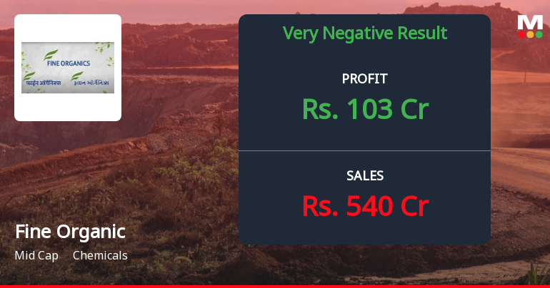 Fine Organic Industries Reports Negative Financial Performance
