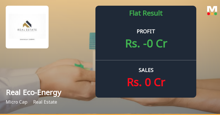 Real Eco-Energy's Q3 Financial Results Decline