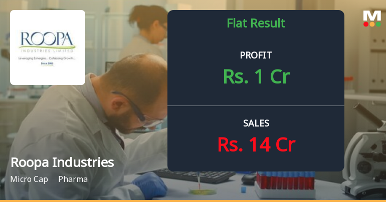 Roopa Industries Reports Mixed Financial Performance