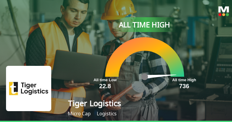Tiger Logistics Ltd's Stock Reaches All-Time High