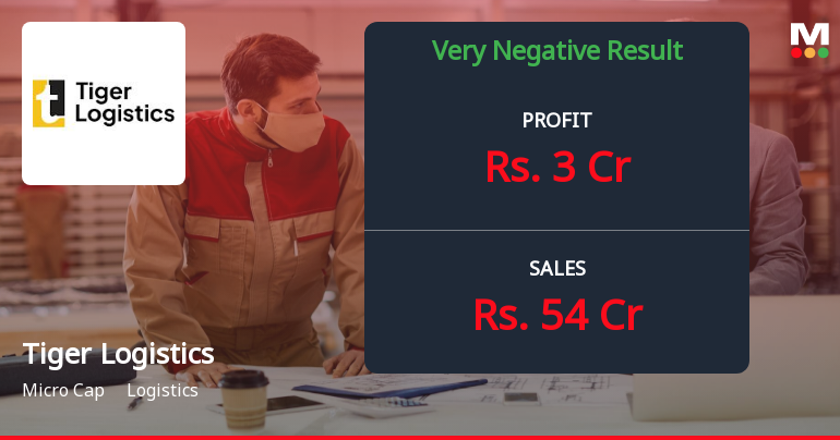 Tiger Logistics sees QoQ growth, but challenges remain