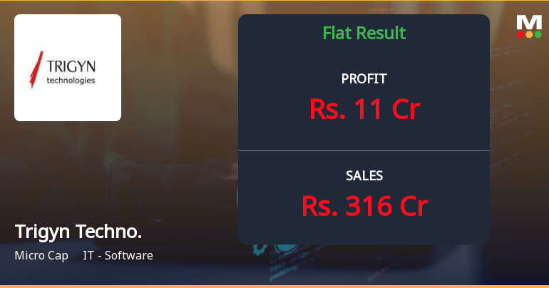 Trigyn Technologies Reports Mixed Financial Performance