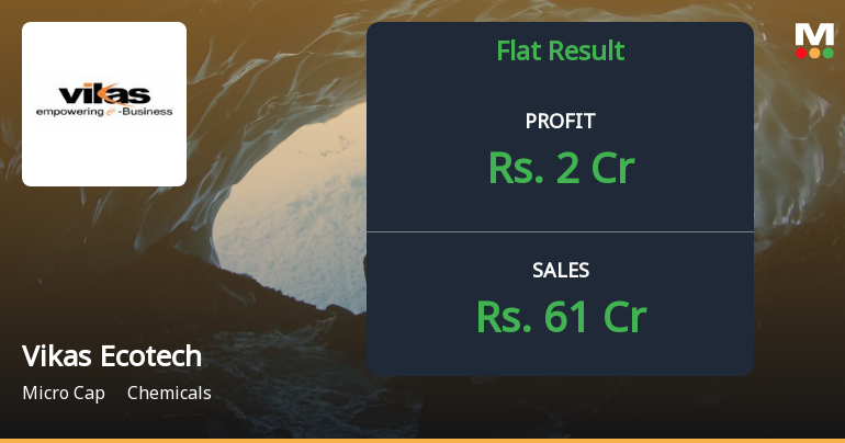 Vikas Ecotech's Q3 results show mixed performance