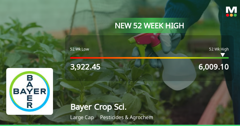 Bayer CropScience Hits 52-Week High, Outperforms Sensex in Pesticides ...
