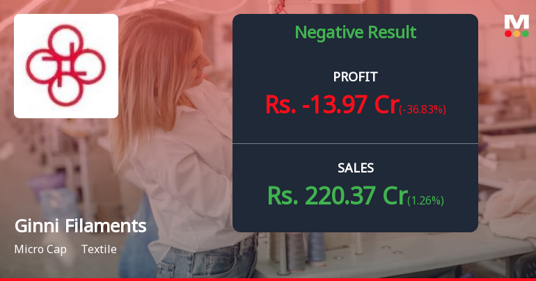 Ginni Filaments Reports Decline in Financial Performance for Q4 2023