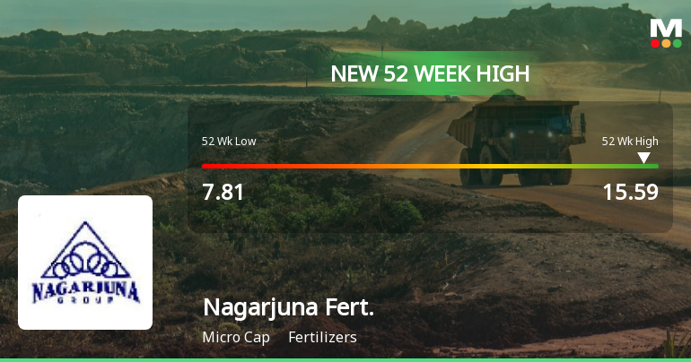 Nagarjuna Fertilizers & Chemicals: Impressive Growth and ...