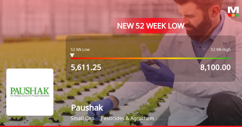 Paushak's Stock Hits 52-Week Low Amidst Decline in Pesticides Industry