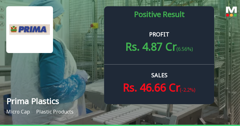 Prima Plastics Reports Strong Financial Performance in Q4 2023 ...