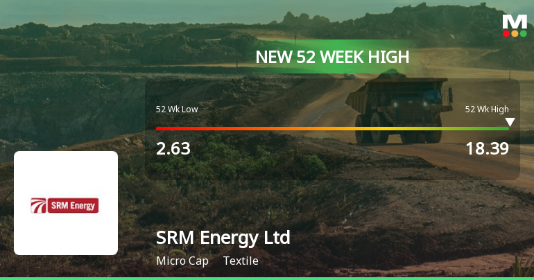 SRM Energy's Stock Surges to 52-Week High, Outperforms Sector and Sensex