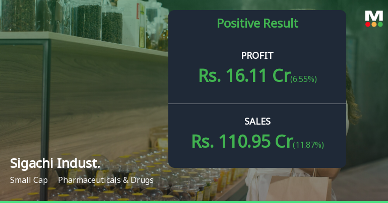 Sigachi Industries Reports Strong Financial Performance in Q3 2023. Net ...