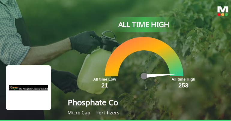 The Phosphate Company's Stock Hits All-Time High, Outperforms Sector ...