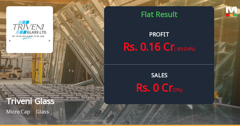 Triveni Glass Reports Decline in Financial Performance fo...