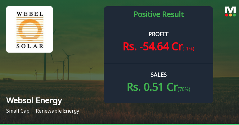 Websol Energy Reports Strong Financial Performance in Q4 2023, PAT ...