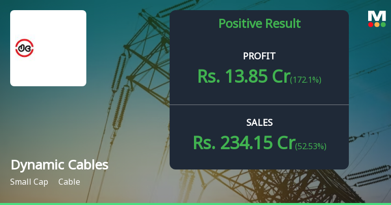 Dynamic Cables' Q2 FY25 Financial Results Show Positive Growth, But ...