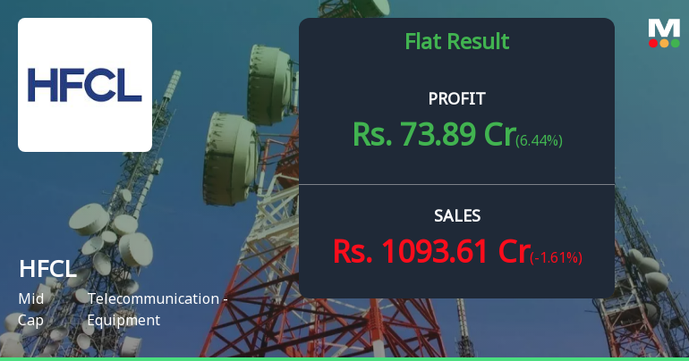 HFCL's Q2 FY25 financial results show flat performance, but PAT sees 34 ...