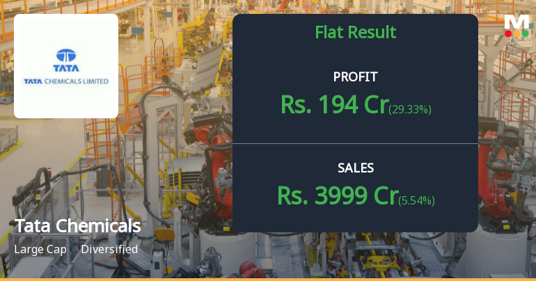 Tata Chemicals' Q2 FY25 financials show mixed results, highest ...