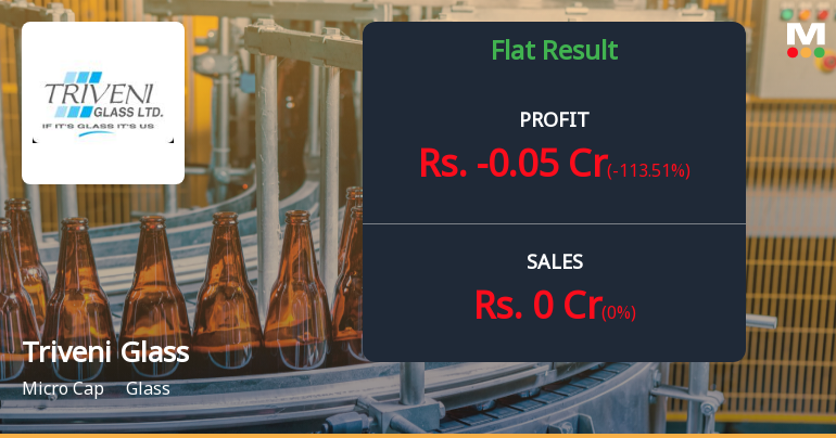 Triveni Glass Announces Q2 FY25 Financial Results, Shows ...