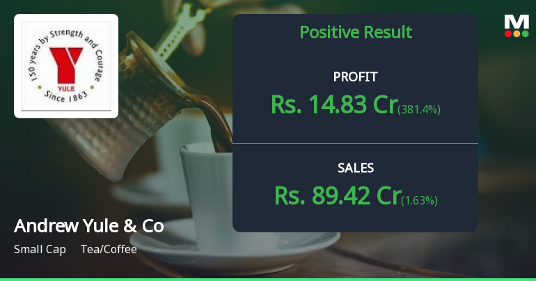 Andrew Yule & Co Shows Strong Financial Performance in Q3 2024 Results