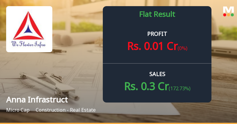 Anna Infrastructures' Q2 financial results show flat performance with ...