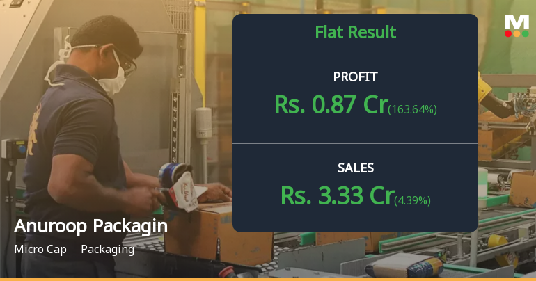 Anuroop Packaging's Q2 results show flat performance, but...