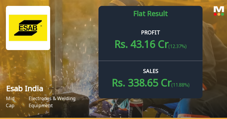 Esab India's Q2 FY24-25 financial report shows mixed resu...