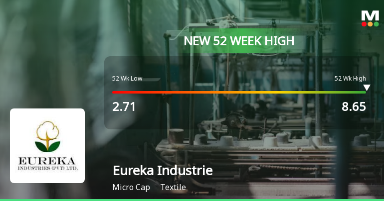 Eureka Industries' Stock Surges to 52-Week High, Outperforming Textile ...