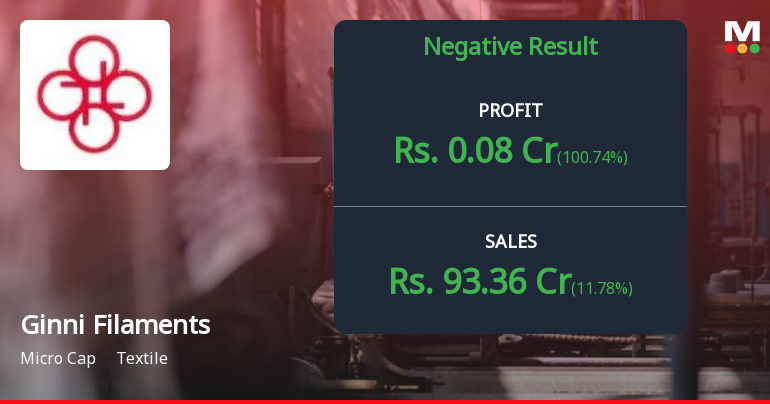 Ginni Filaments reports mixed financial results for Q2 2024, with highest EPS in 5 quarters