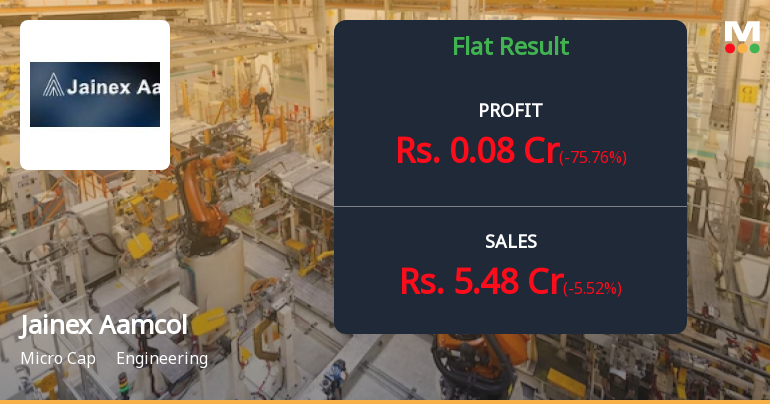 Jainex Aamcol's Q2 FY25 financial report shows flat performance, but ...