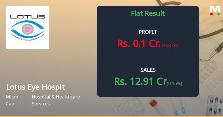 Lotus Eye Hospital & Institute Reports Stable Financial Performance in ...