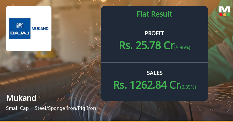 Mukand's Q2 FY24-25 financial results show mixed performa...
