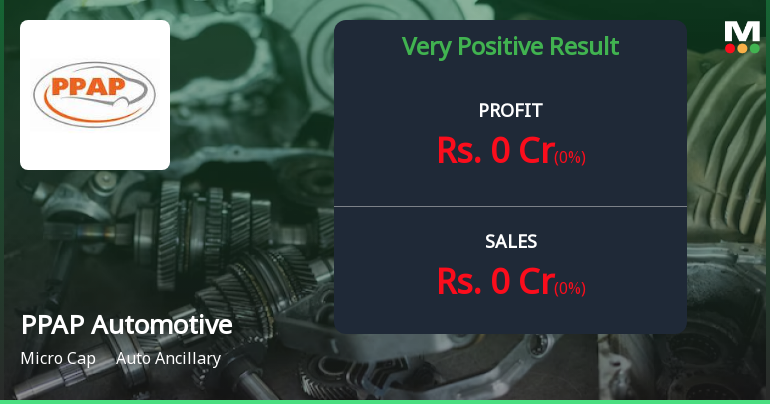 PPAP Automotive's Q2 financial results show strong growth and ...