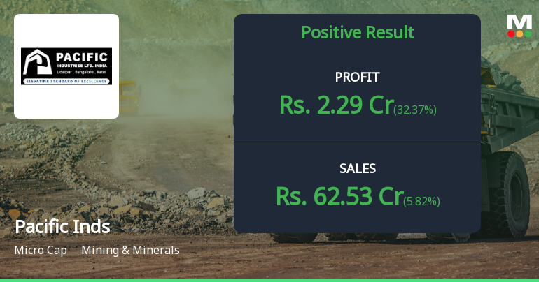 Positive Financial Performance for Pacific Industries in Q2 2024, But ...