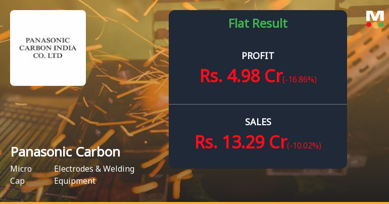 Panasonic Carbon India Company's Q2 FY24-25 financial report shows ...