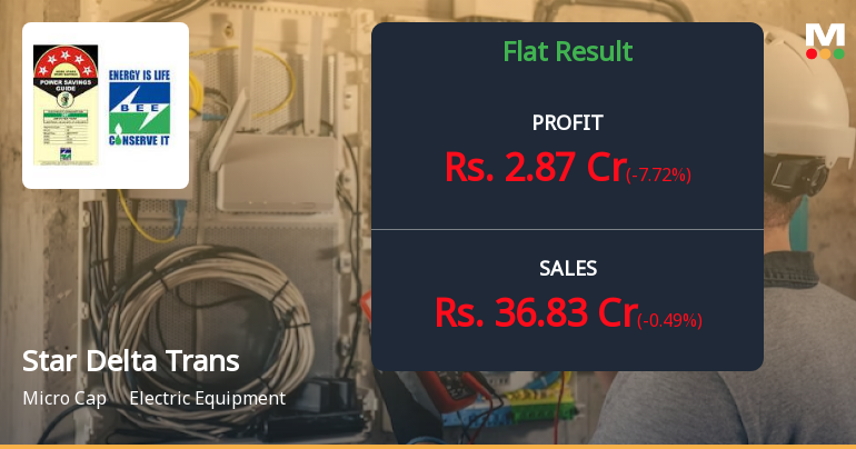 Star Delta Trans Reports Flat Performance in Q2, PAT Decreases by 25%