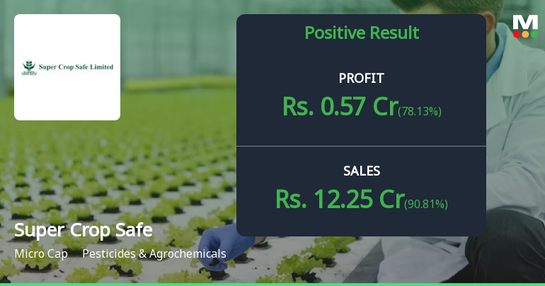 Super Crop Safe Reports Strong Financial Performance in Q2 2024, Receives 'Hold' Rating from ...