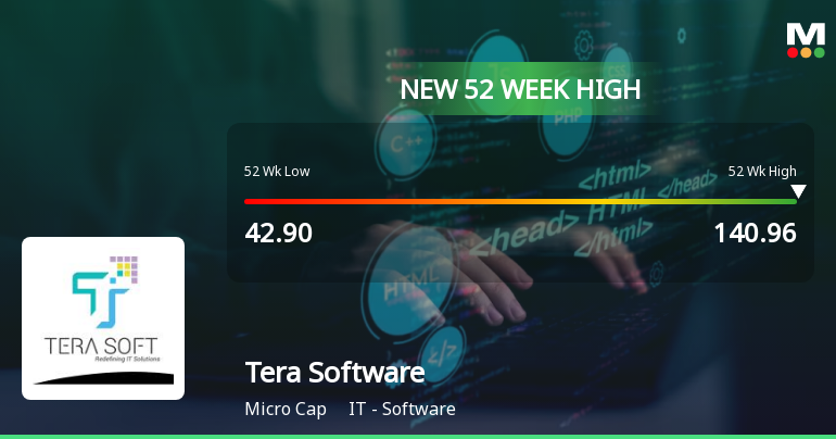 Tera Software Hits 52-Week High, Shows Remarkable Growth in IT Sector