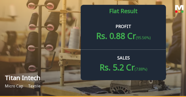 Titan Intech's Q2 FY24-25 financial report shows flat performance, but ...