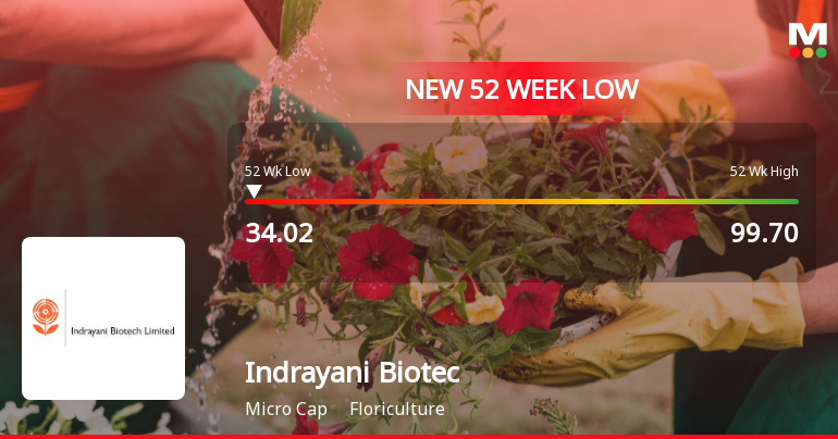 Indrayani Biotech Hits 52-Week Low Amid Significant Yearly Decline