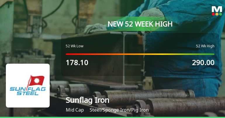 Sunflag Iron & Steel Company Experiences Revision in Its ...