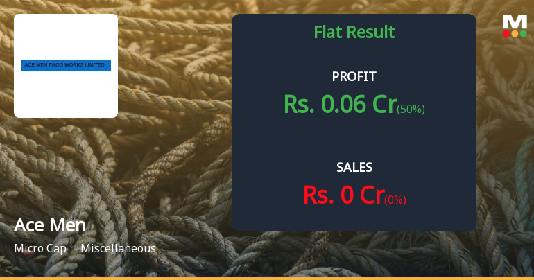 Ace Men Engineering Works Reports Flat Performance in Q3, but Shows ...