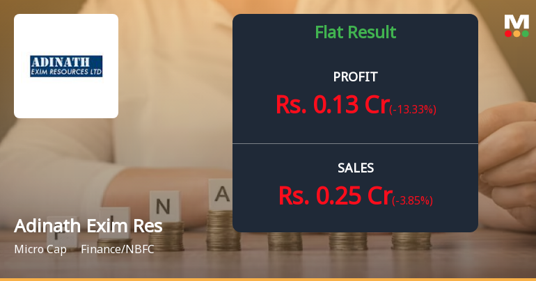 Adinath Exim Res faces decrease in revenue and profitability, stock ...