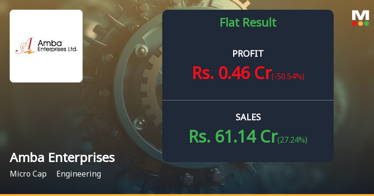 Amba Enterprises Reports Mixed Performance in Q4 2023 Financial Results