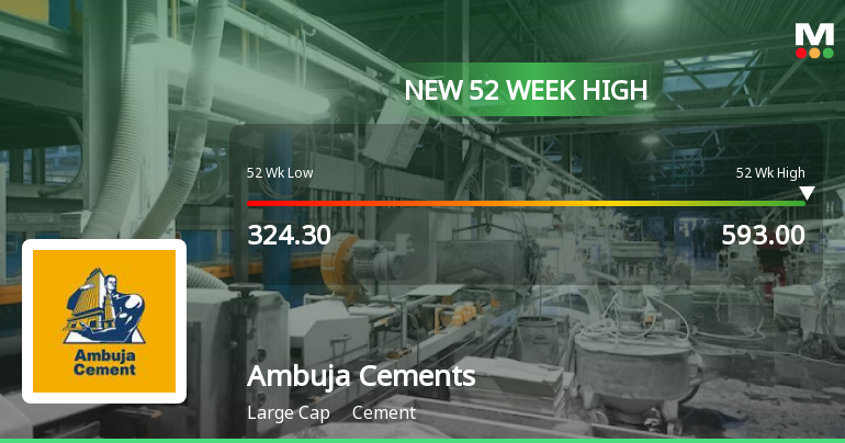 Ambuja Cements Hits 52-Week High, Outperforms Sensex in Cement Industry