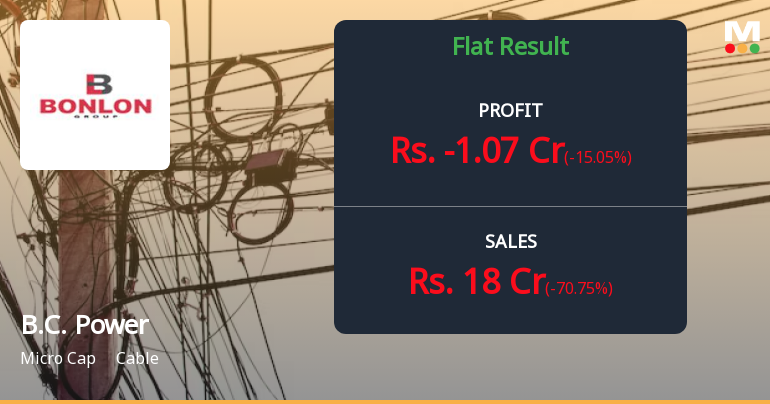 B.C. Power Controls Reports Decline in Sales and Profitability for Q4 2023