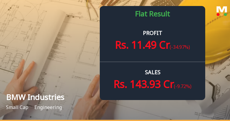 BMW Industries Reports Mixed Performance in Q4, Debt-Equity Ratio Improves
